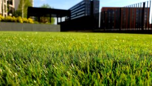 Why do babies avoid grass - Dadlethic